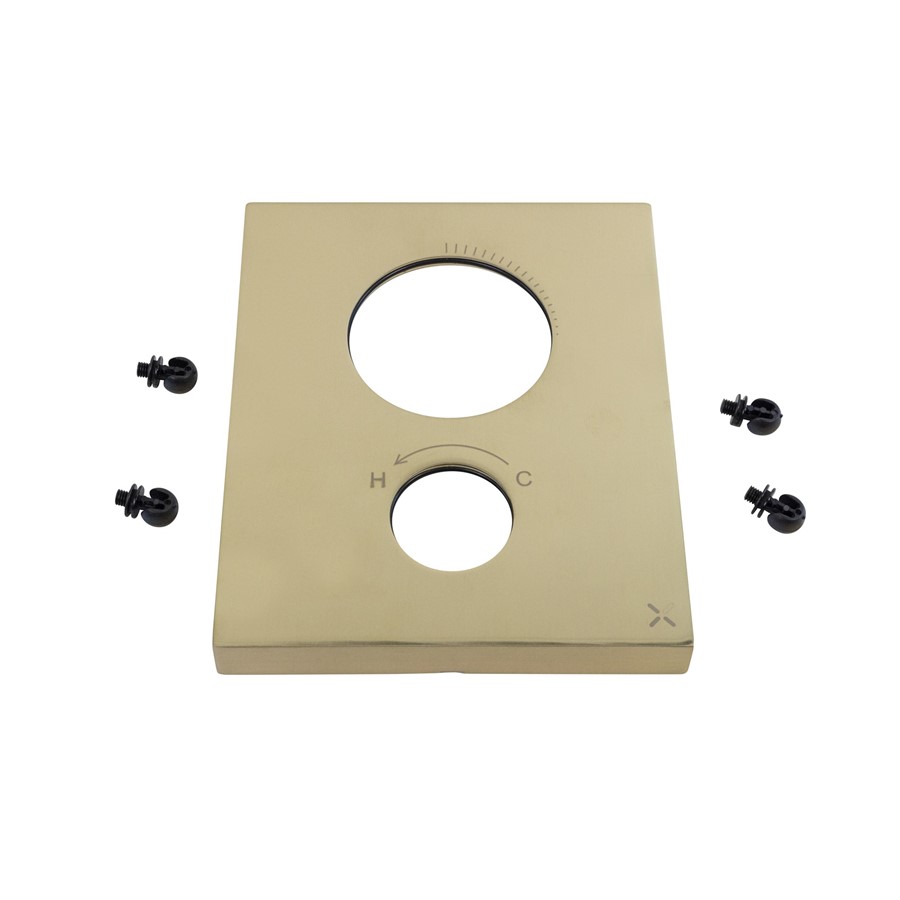 Crossbox PUSH Backplate Brushed Brass