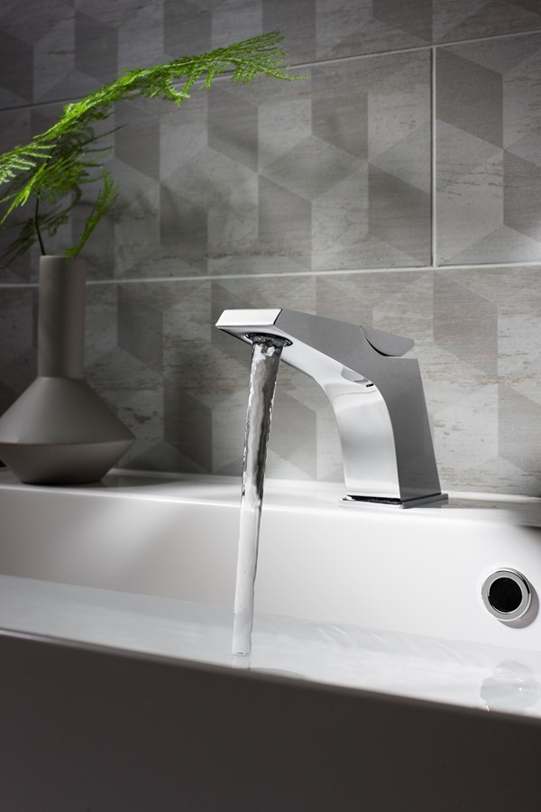 Wedge Basin Mono